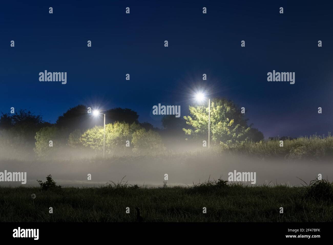Mist floating above a field next to street lights on an atmospheric ...