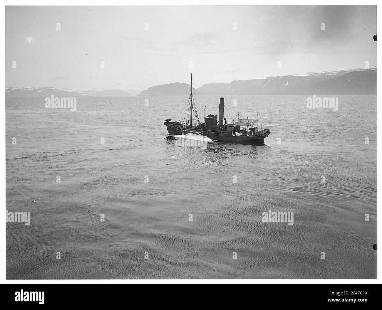 Walfish hi-res stock photography and images - Alamy