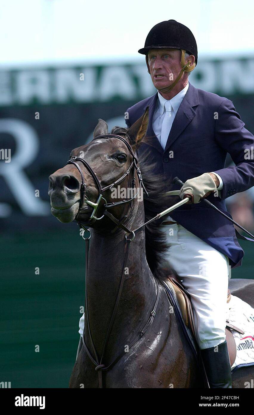 Selle francais horse hi-res stock photography and images - Alamy