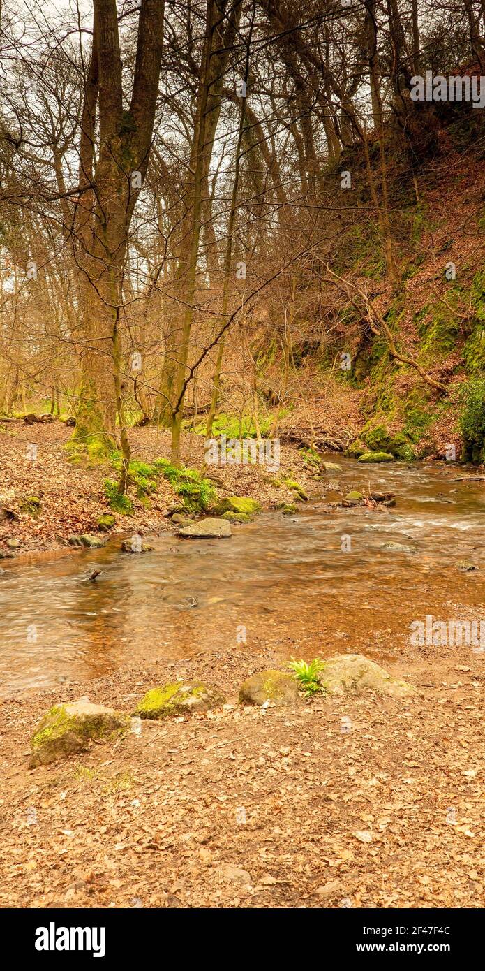Hermitage of Braid is a local Nature Reserve with the Woodland Trust ...