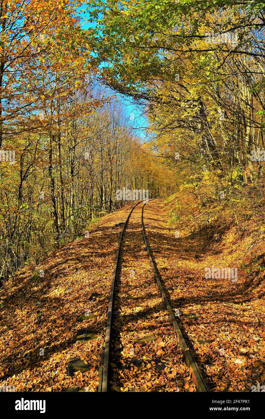 Fallen trees railway hi-res stock photography and images - Alamy