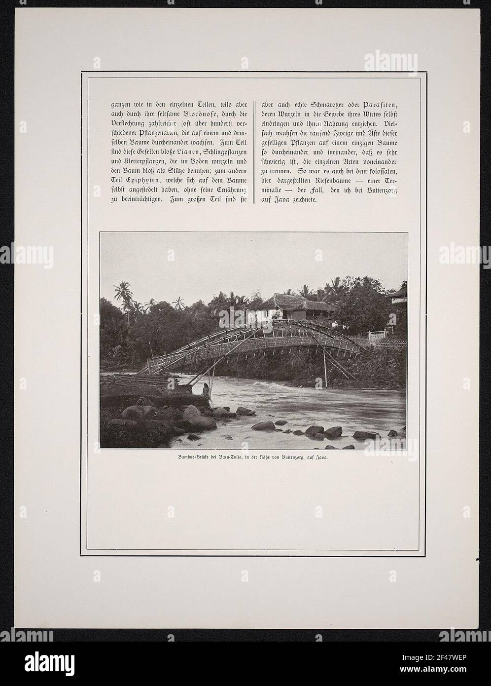 Bamboo Bridge at Batu Tuli Stock Photo - Alamy