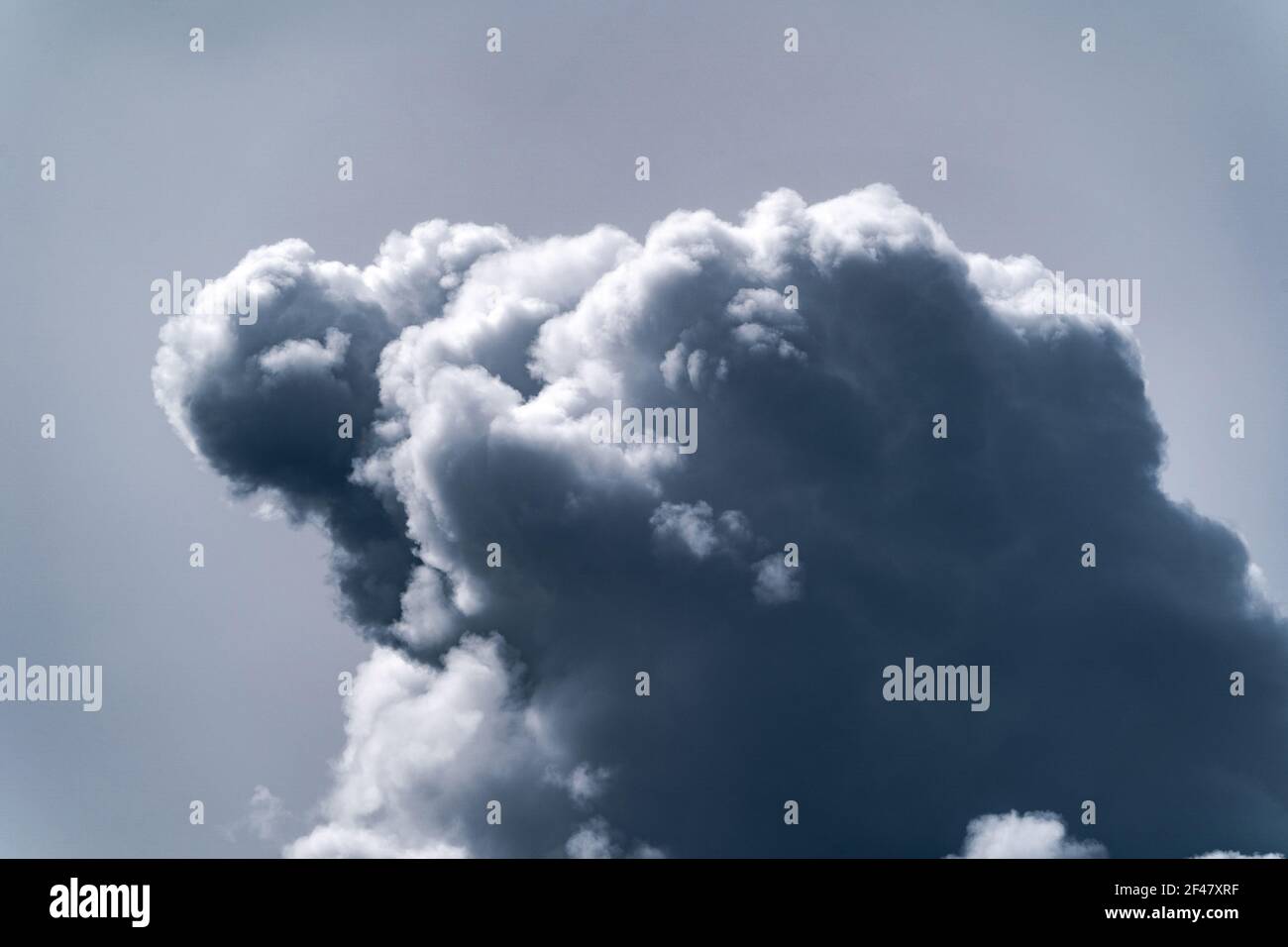 Wisdom abstract calm nature hi-res stock photography and images - Alamy