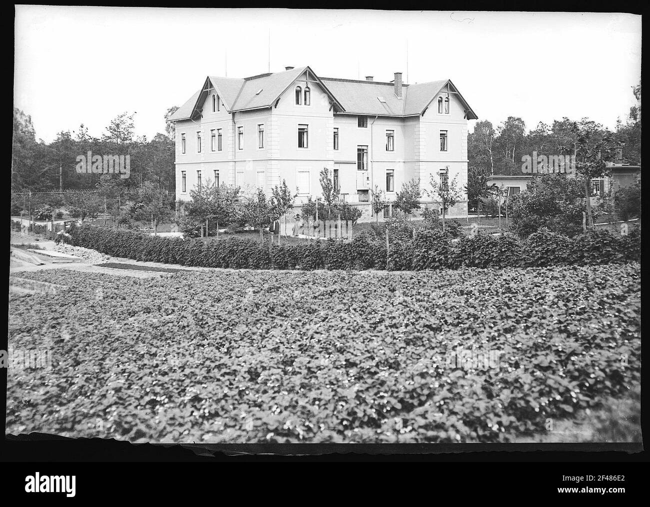 Womens foundation Black and White Stock Photos & Images - Alamy