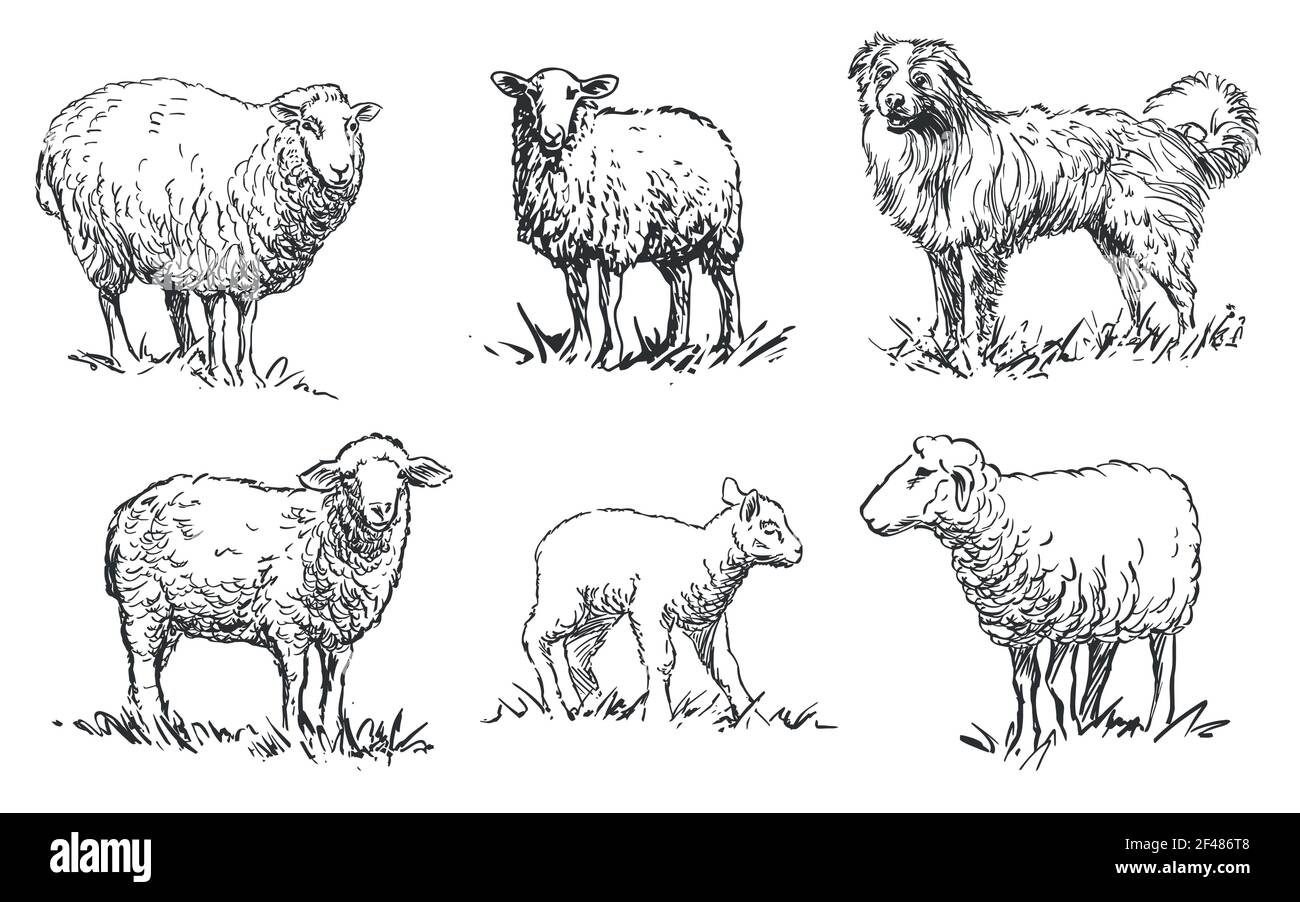 Black And White Line Art Farm High Resolution Stock Photography and ...