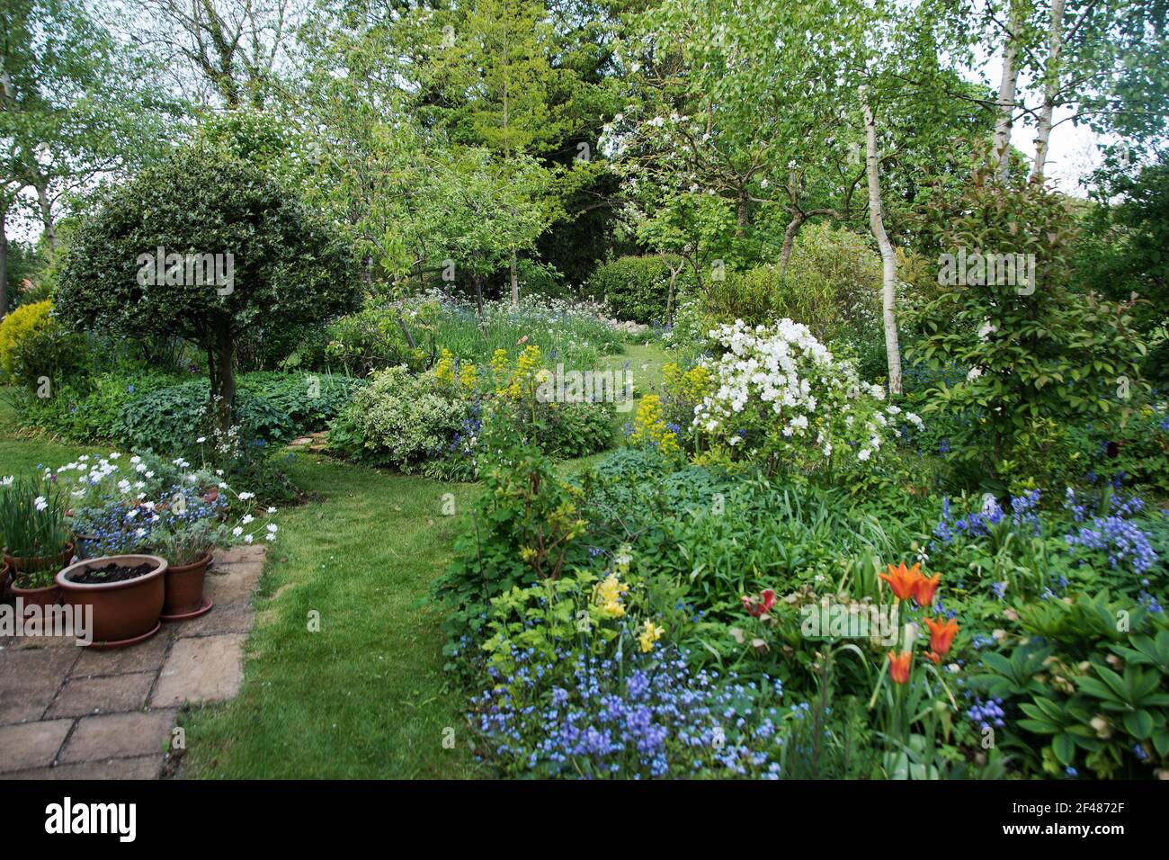 The Old Orchard garden in May Stock Photo - Alamy