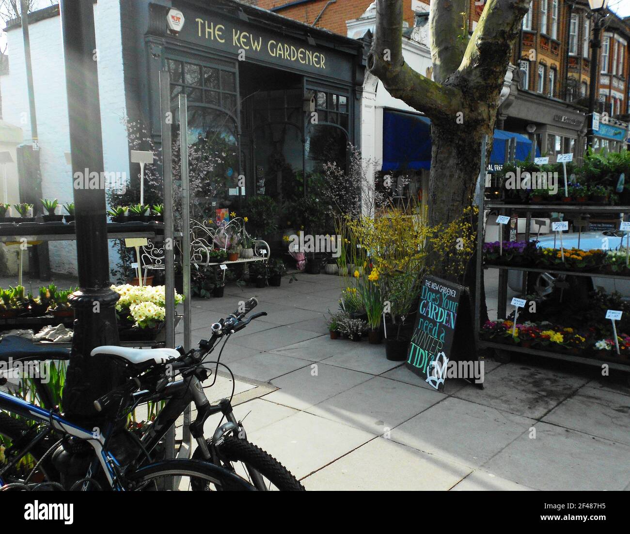 The Kew Gardener Flower Shop Stock Photo - Alamy