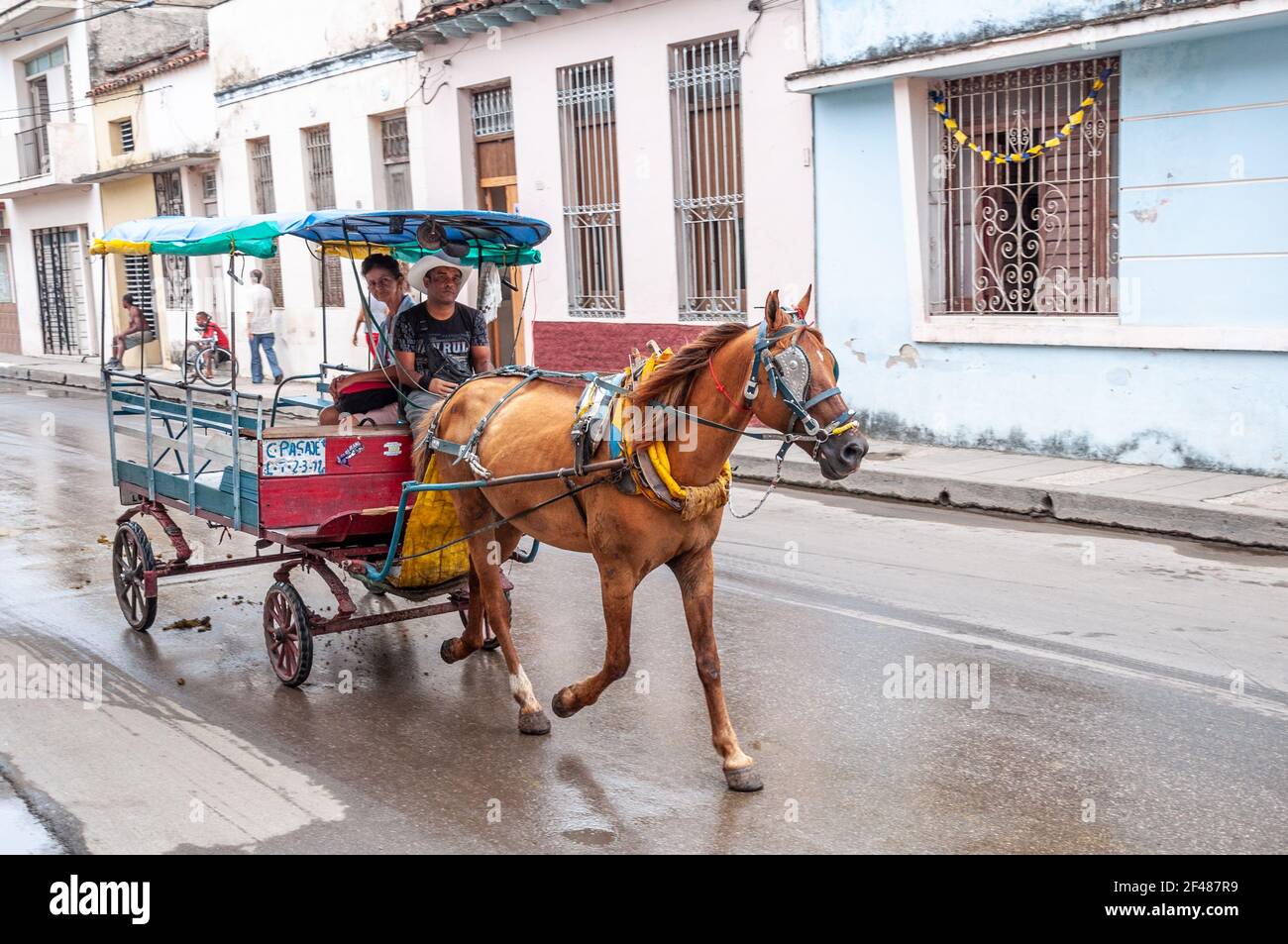 Cuban horse and cart hi-res stock photography and images - Alamy