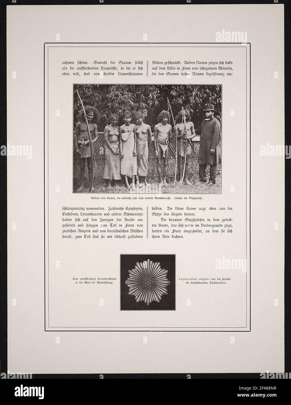 Veddas from Ceylon. Right a Singhalese Stock Photo - Alamy