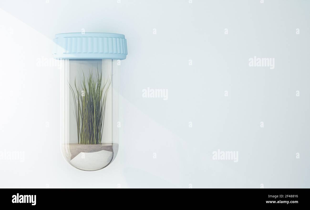 flask with grass with copy space. 3d rendering Stock Photo - Alamy