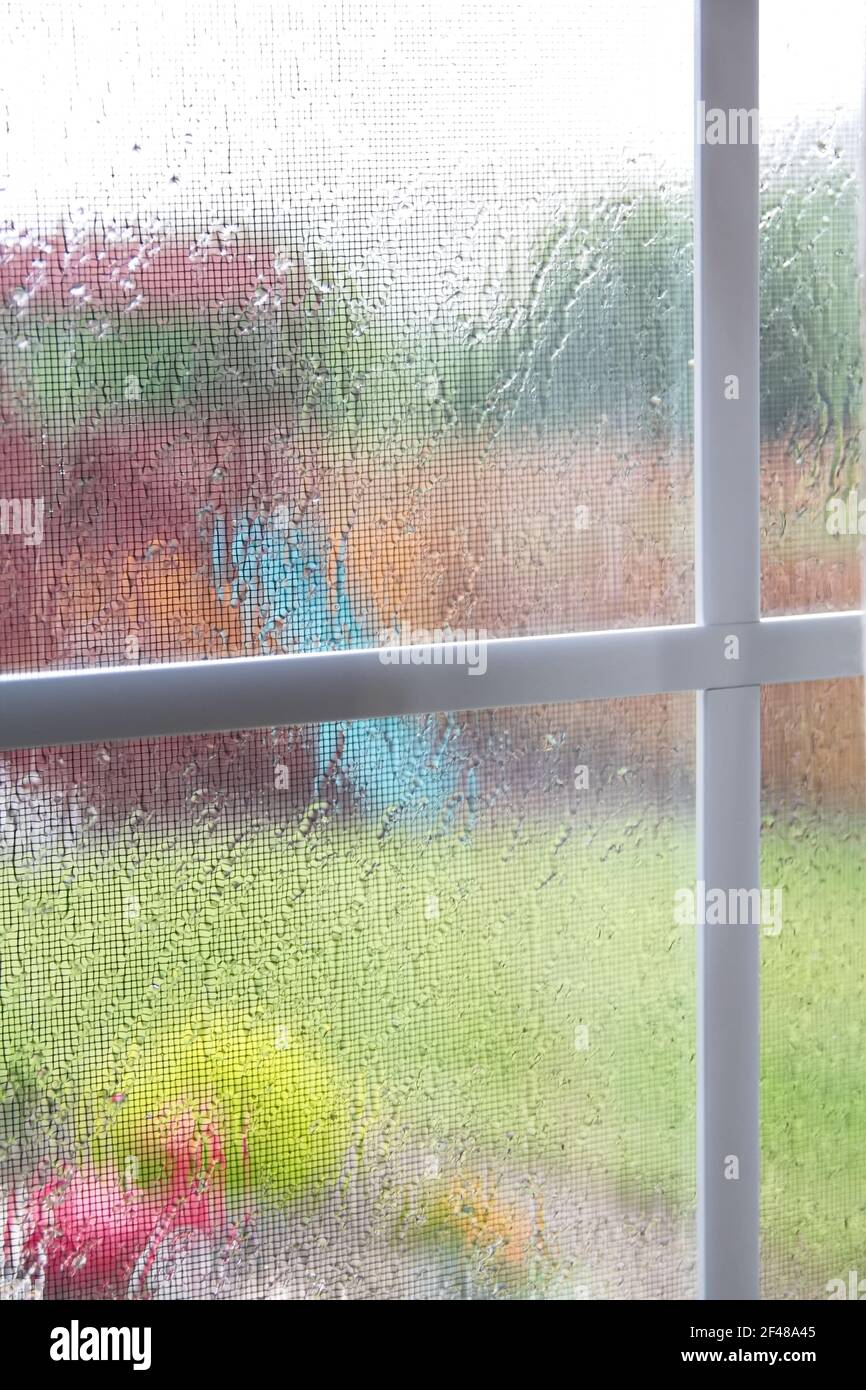 Vertical view of the backyard playground on a rainy day through the ...