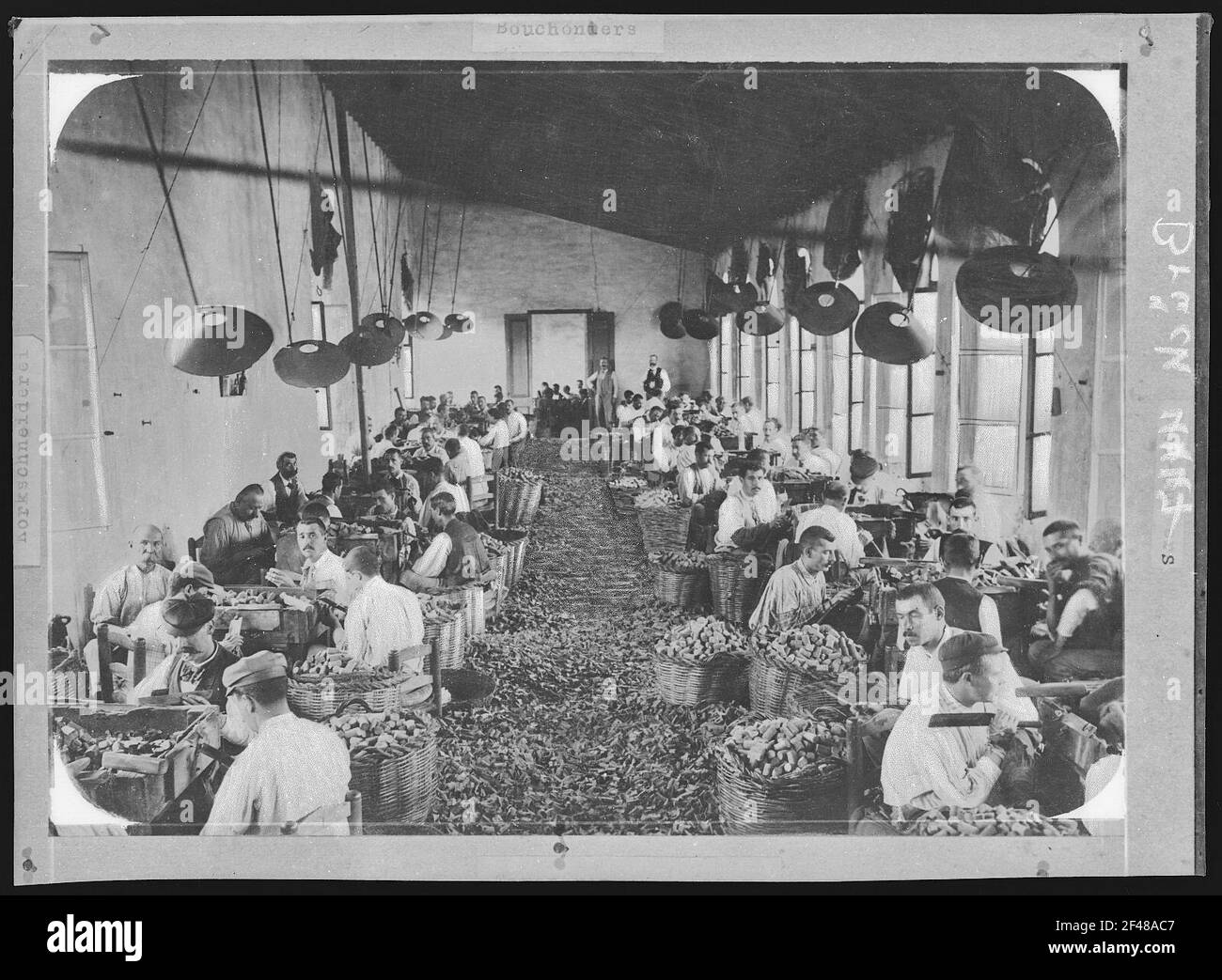 Cork cutter hi-res stock photography and images - Alamy