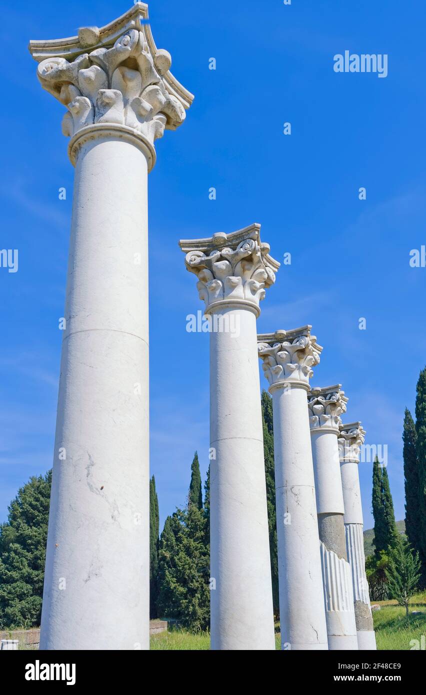 Temple of Apollo columns, Asklepion, Kos, Dodecanese Islands, Greece ...