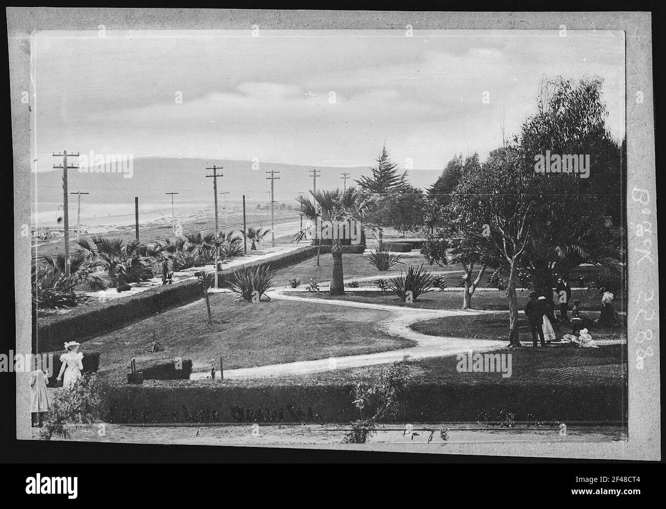 Long Beach. Park at Long Beach, California Stock Photo - Alamy