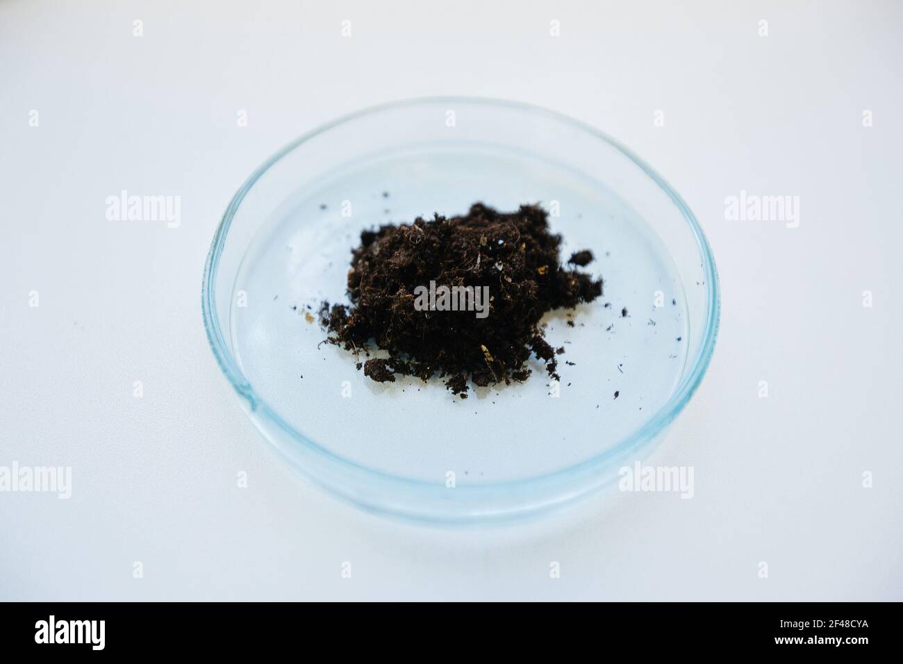 Soil sample hi-res stock photography and images - Alamy