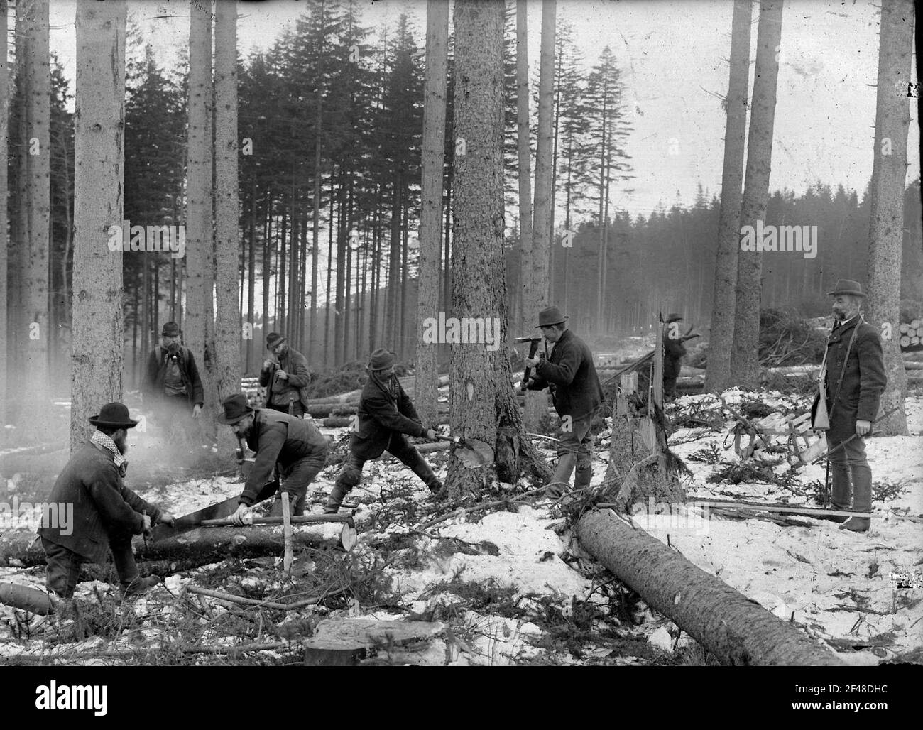 Work lumberjack Black and White Stock Photos & Images - Alamy