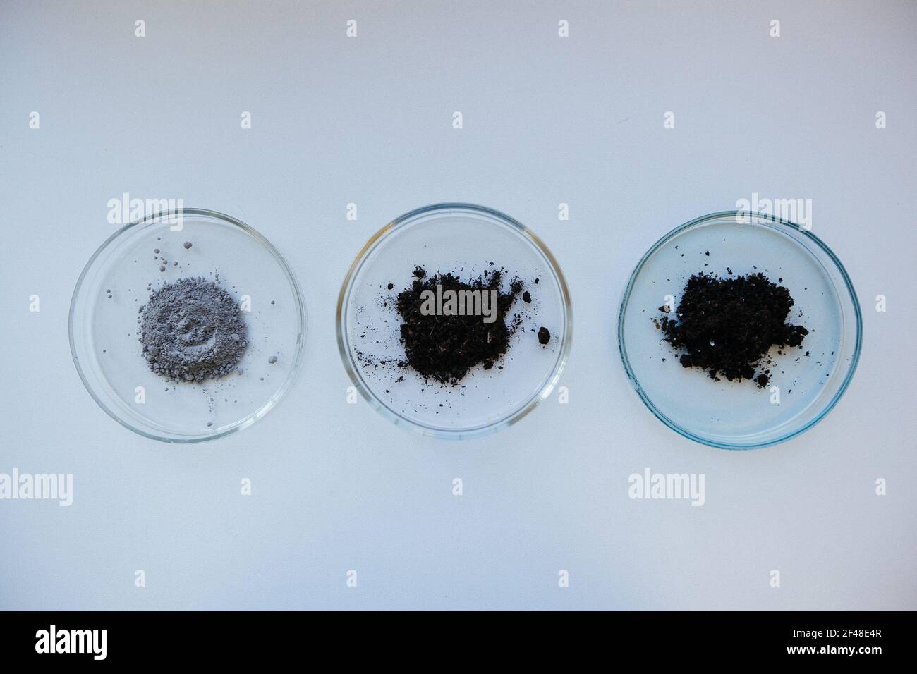 Petri dish with soil sample on white lab table Stock Photo - Alamy