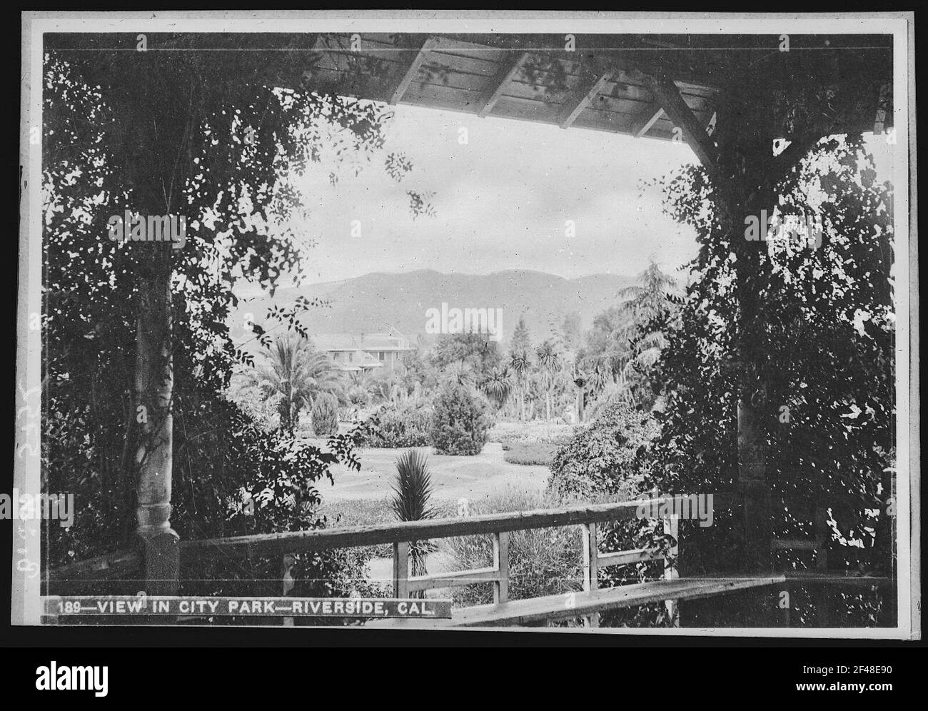 Riverside. View in City Park, Riverside, Ca Stock Photo - Alamy