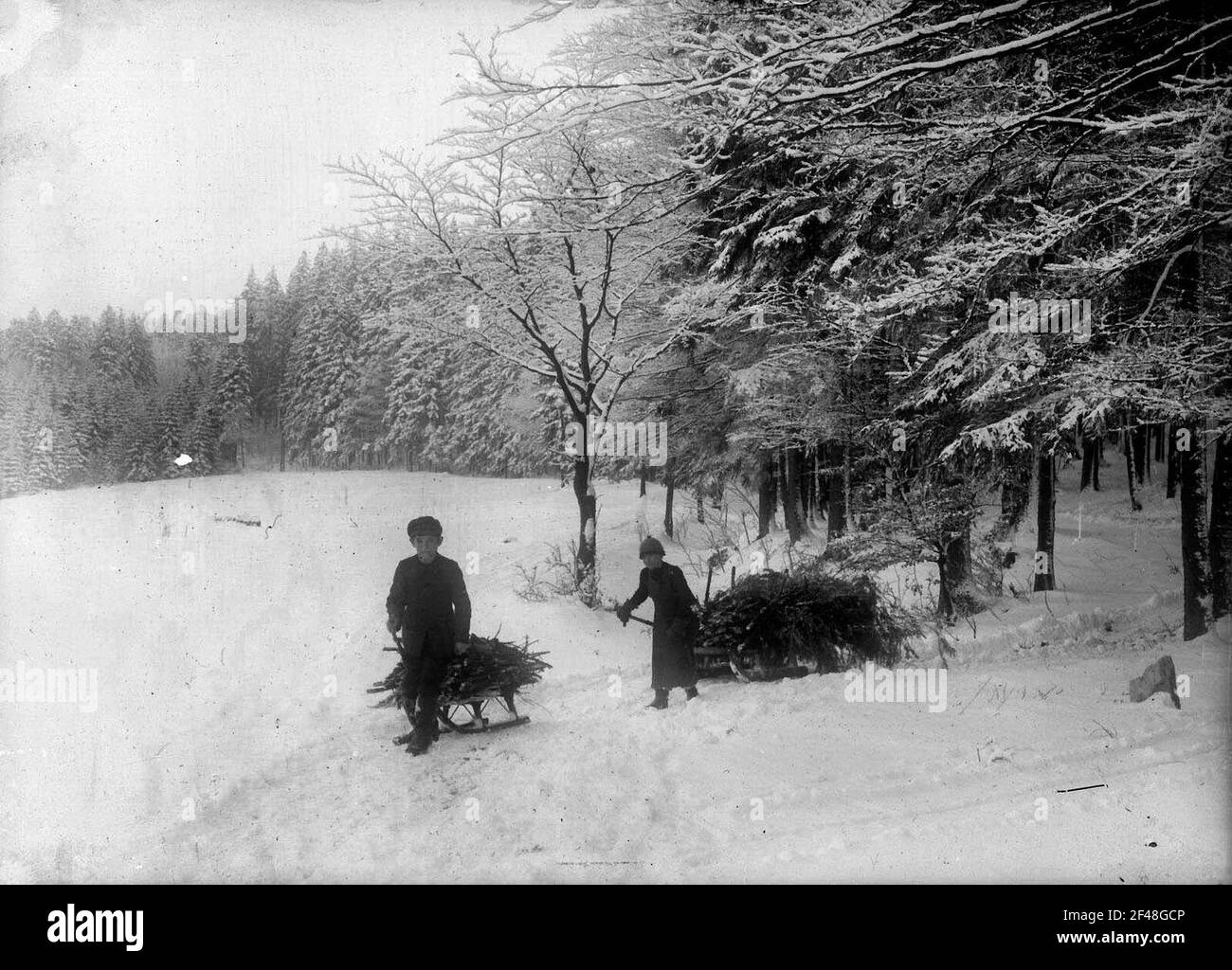 Branch collectors with sled Stock Photo - Alamy