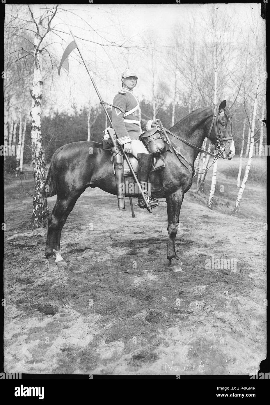 Teamer hi-res stock photography and images - Alamy