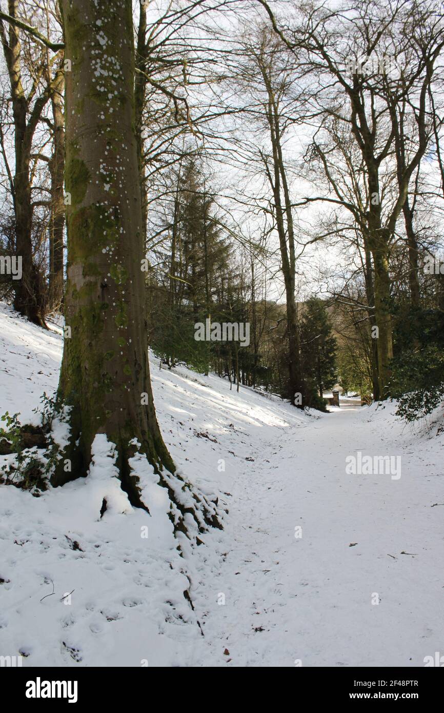 Open air walks walking hi-res stock photography and images - Alamy
