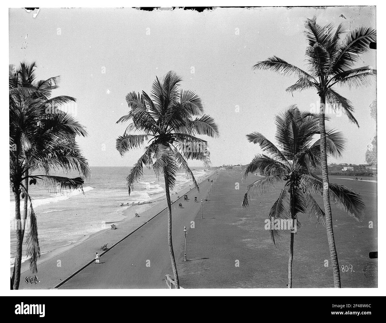 Colombo (Sri Lanka). Beach and water promenade with palm trees. View ...