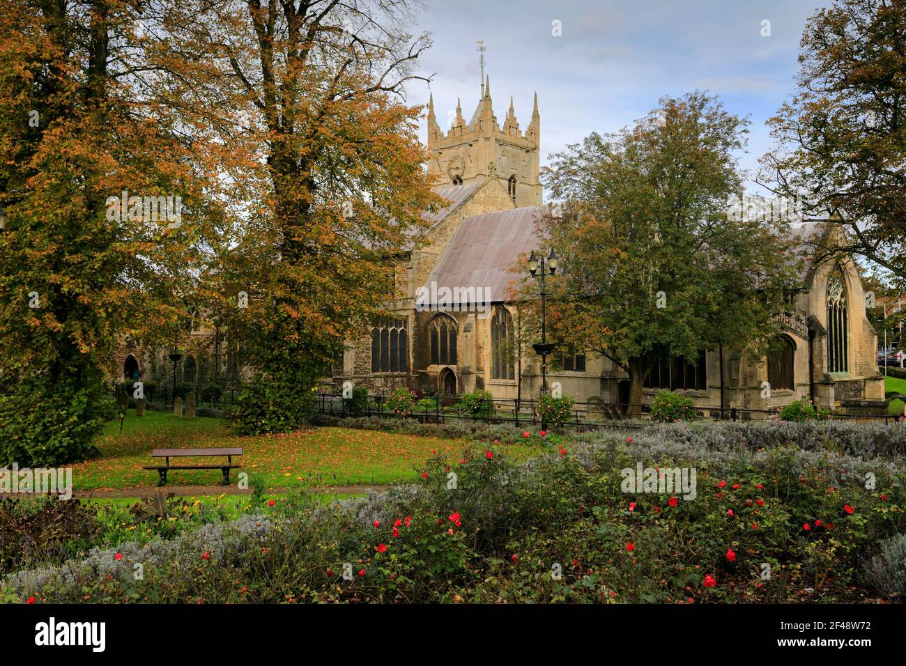 Autumn view over the Rose gardens, St Peters Church; Wisbech town ...