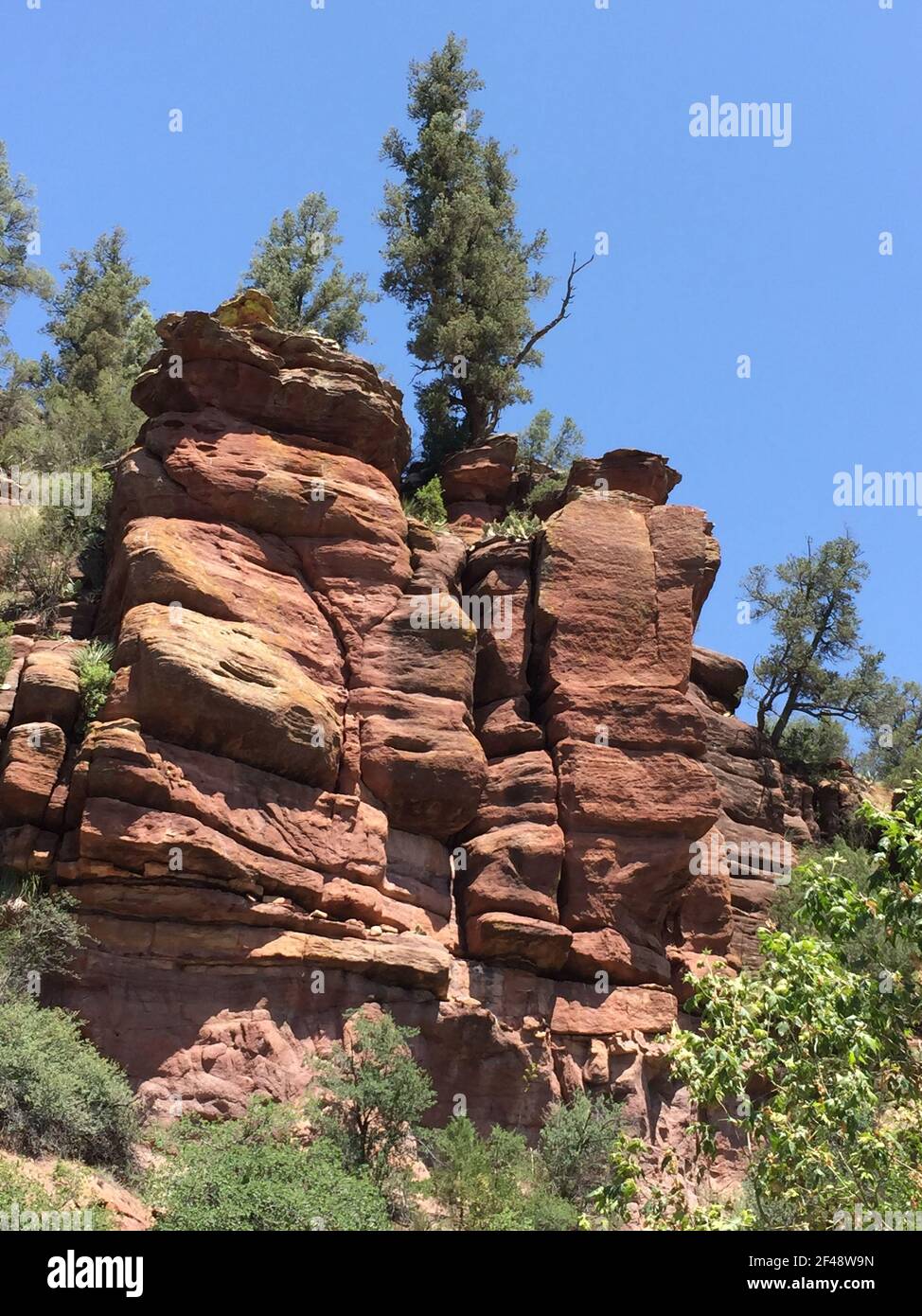A vertical shot of layered rock among pine trees outside of Payson ...