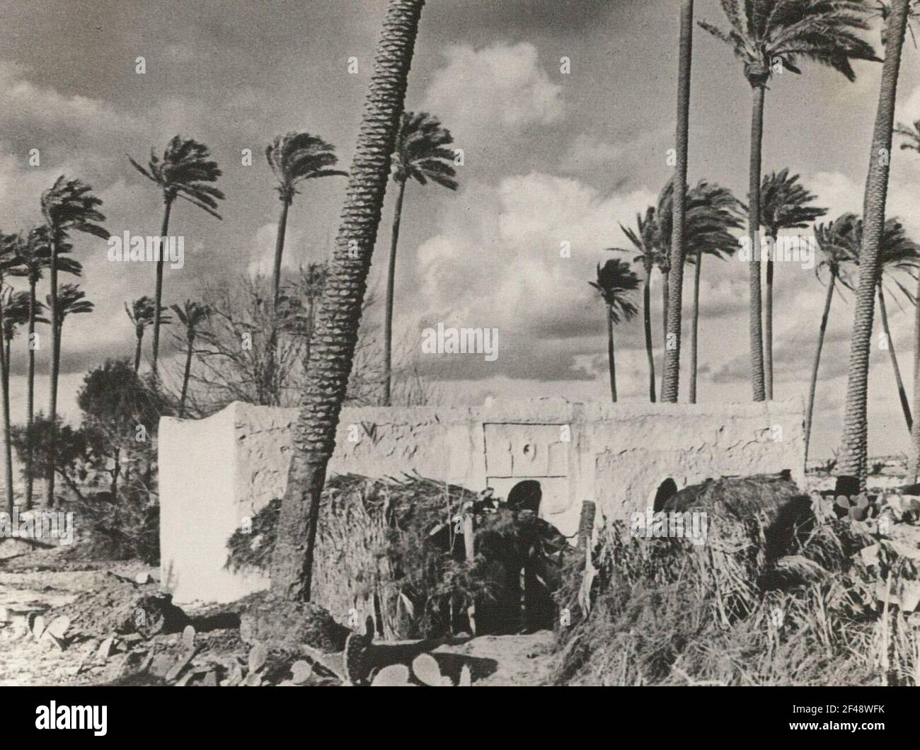 Libya. Oasis Gargaresh (Gargarish) at Tripoli. Berberhaus, probably ...