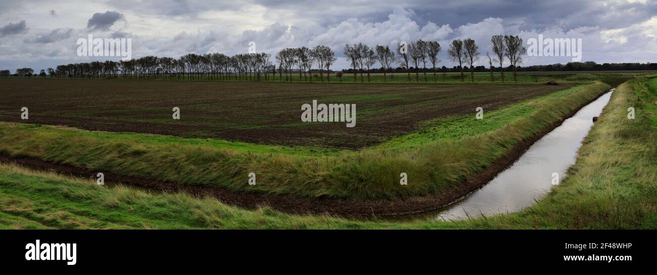 The Sir Peter Scott Lighthouse, known as the East Lighthouse, River ...