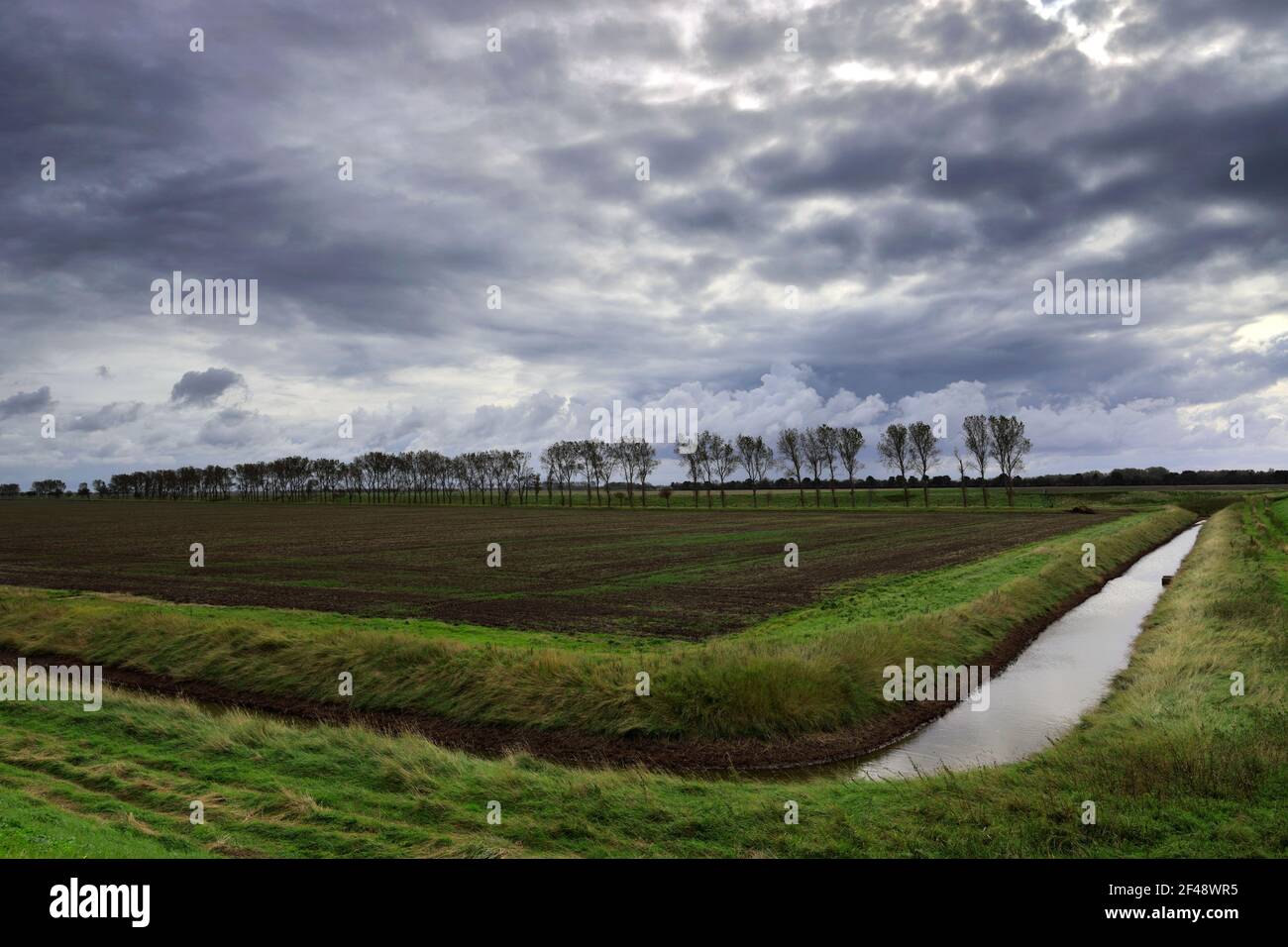 The Sir Peter Scott Lighthouse, known as the East Lighthouse, River ...