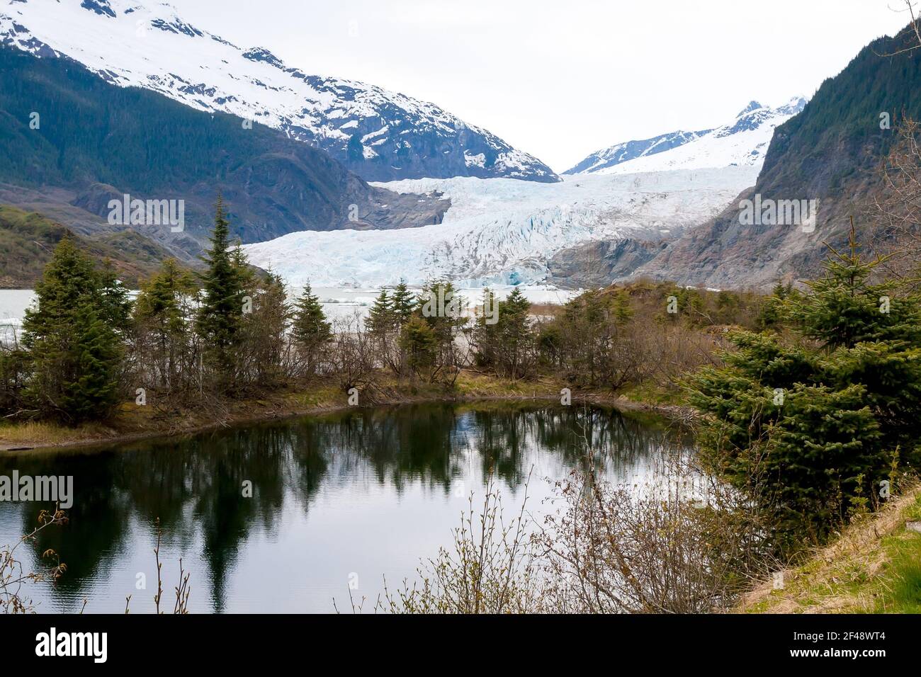 Reflection of trees in a kettle pond by the Mendenhall Glacier near ...