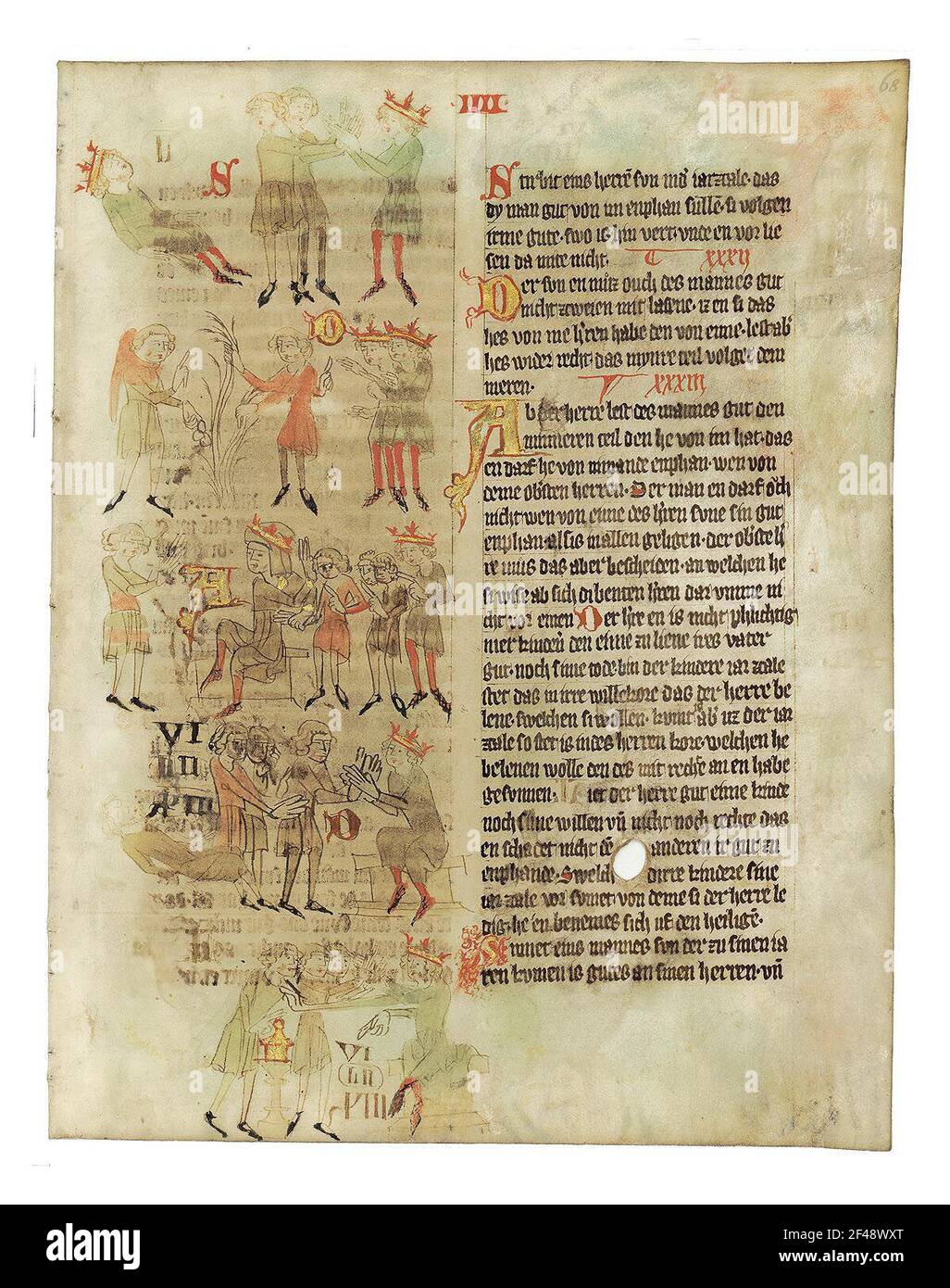 Natural curiosity Cut Out Stock Images & Pictures - Alamy