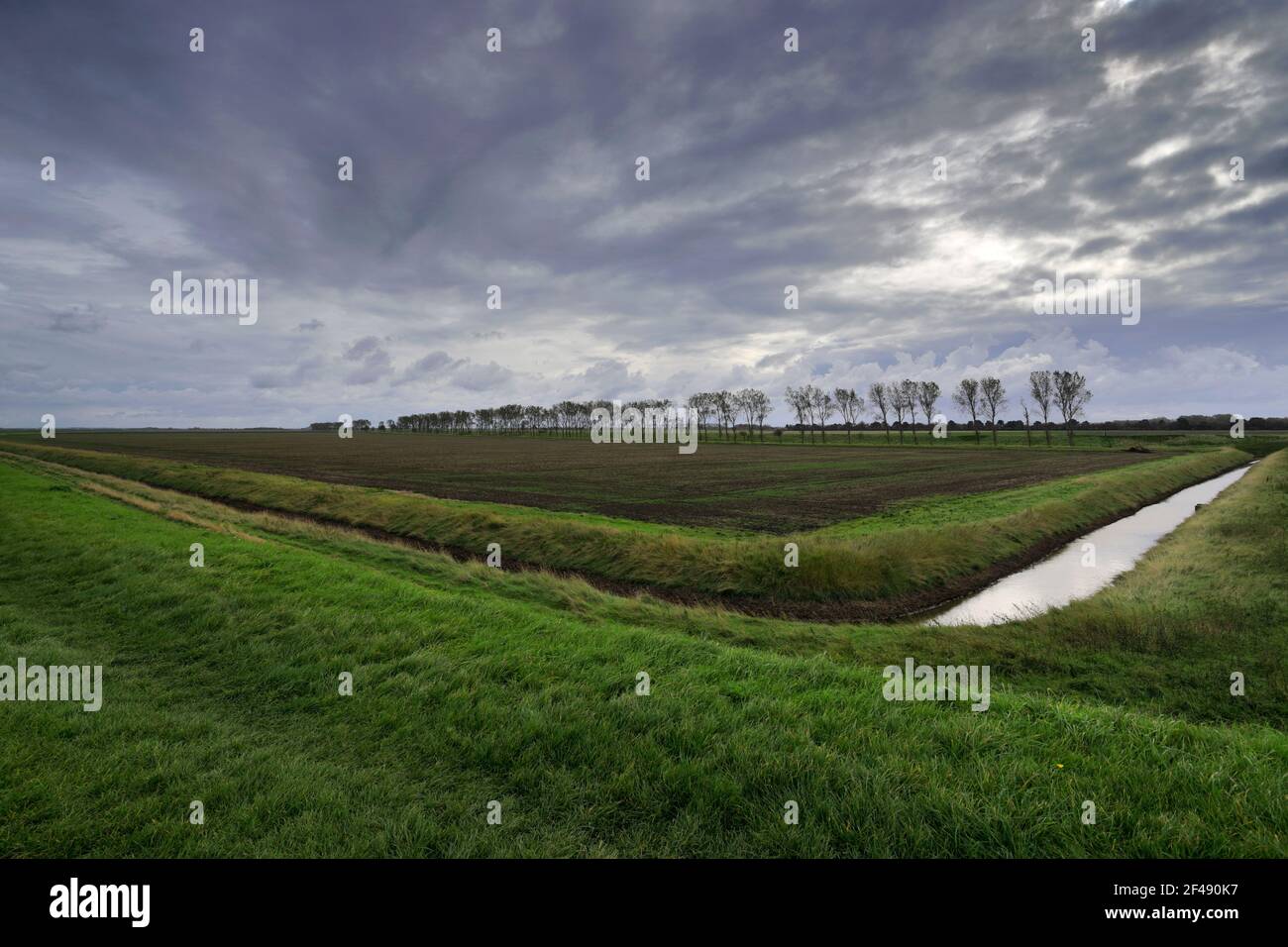 The Sir Peter Scott Lighthouse, known as the East Lighthouse, River ...