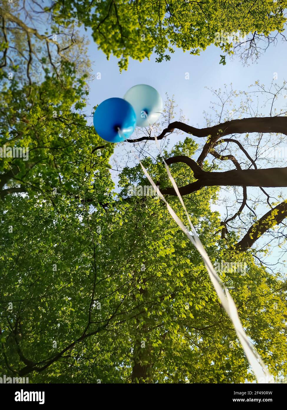 A low angle of the blue balloons under the blue sky in the park Stock ...
