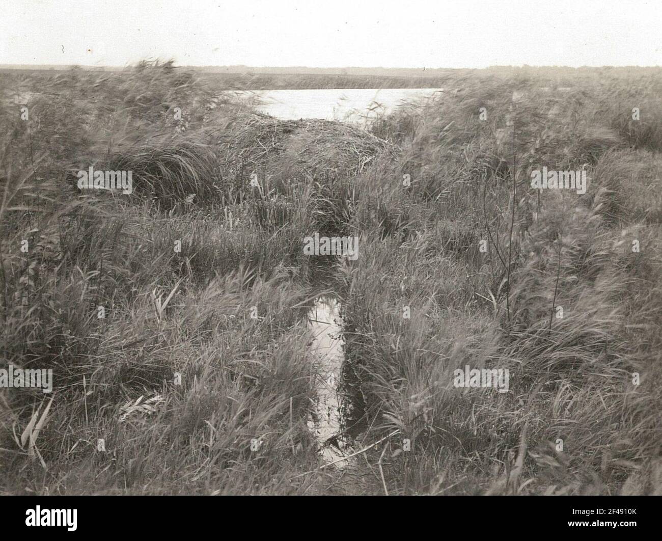 Building adaptations hi-res stock photography and images - Alamy
