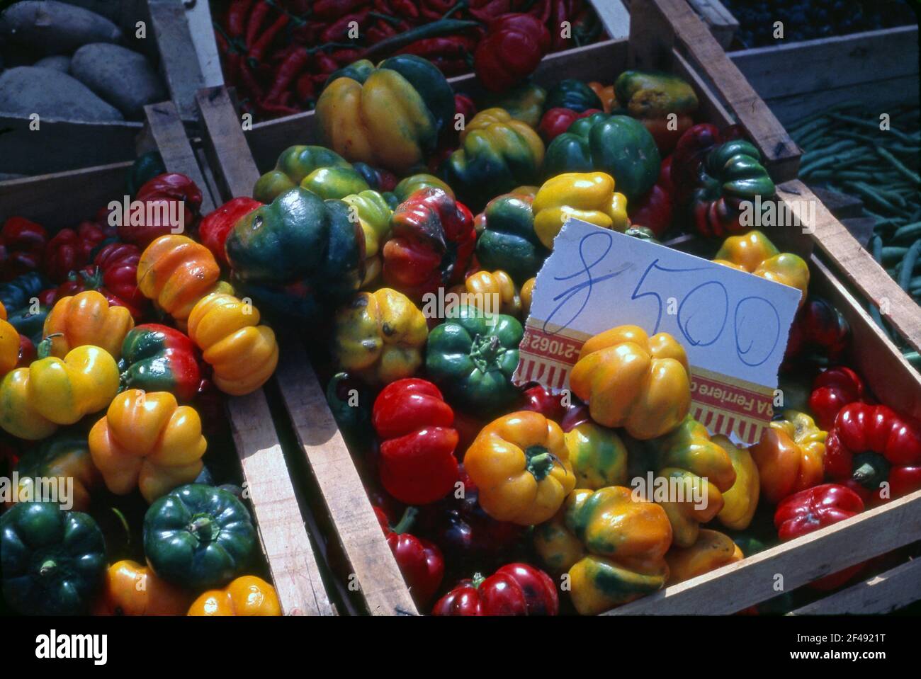 Colorful bell peppers for sale in street market in Arezzo, Italy with ...