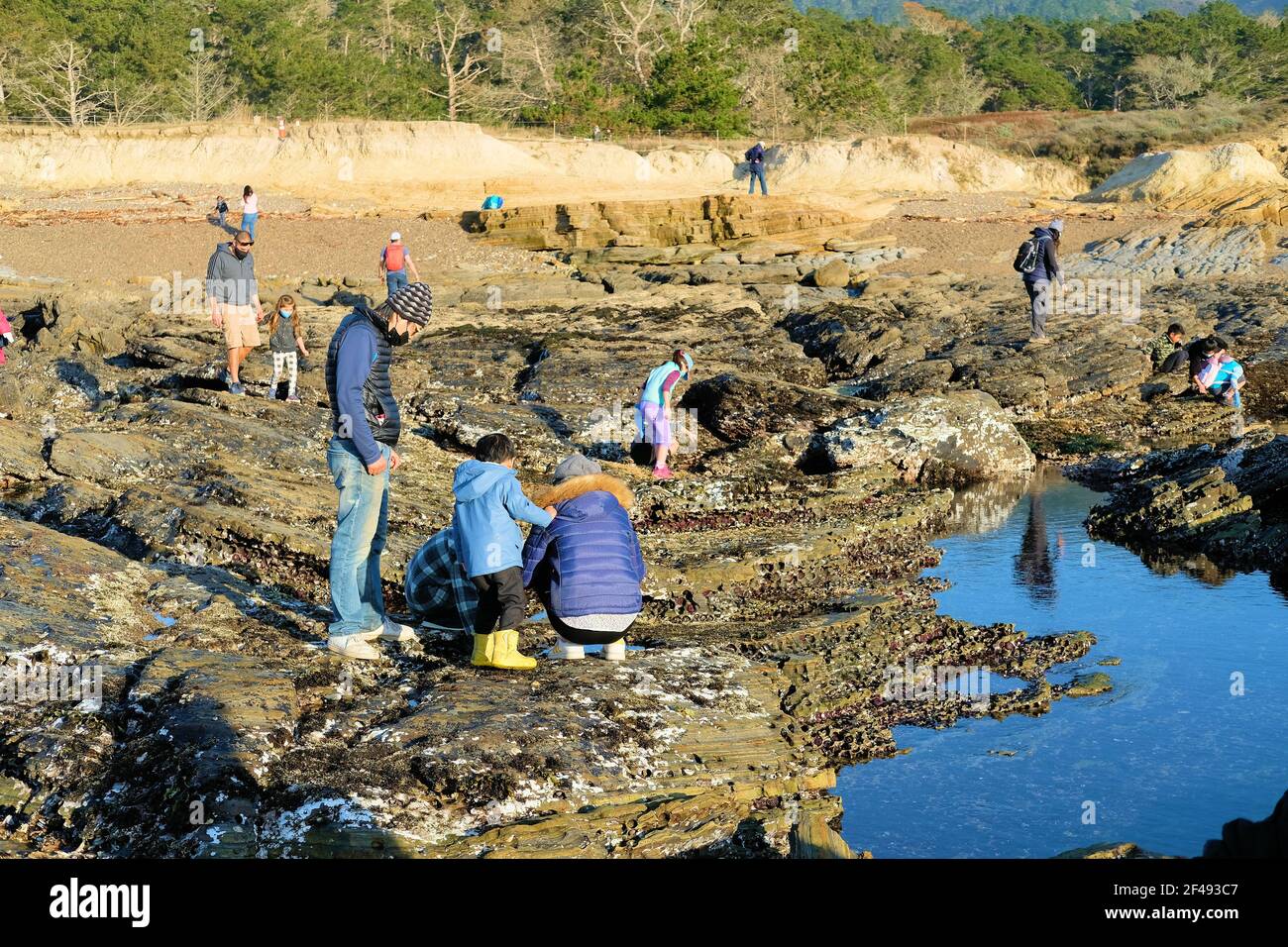 Families visiting tide pools at Point Lobos State Natural Reserve in ...