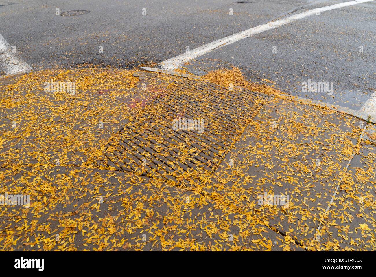 Asphalt street intersection with sweeping corner sidewalk and ramp all ...