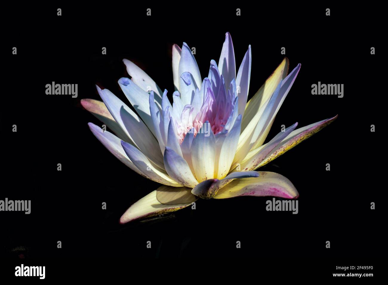 Bewater hi-res stock photography and images - Alamy