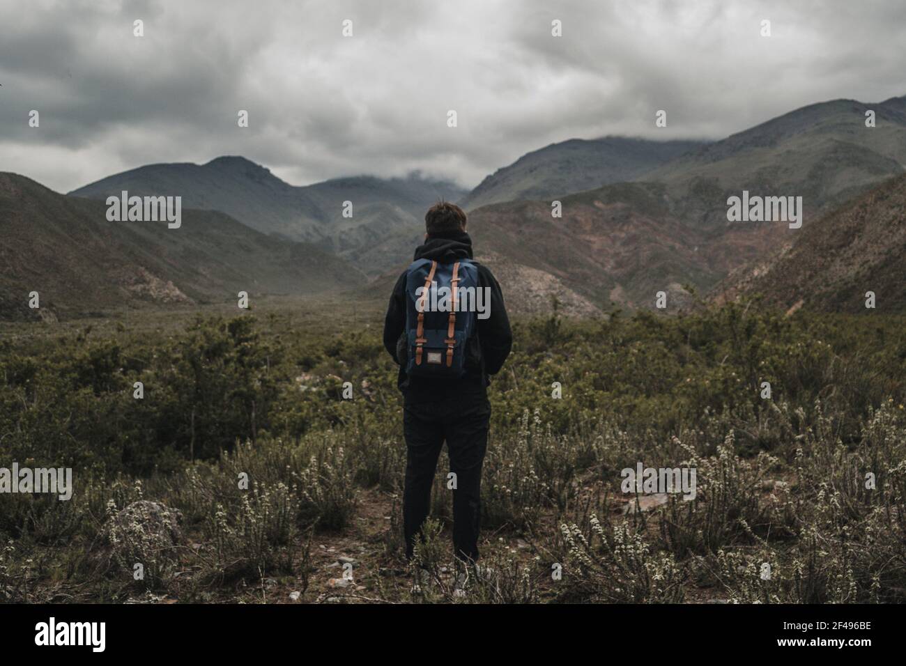 A back view of a male tourist in lands Stock Photo - Alamy