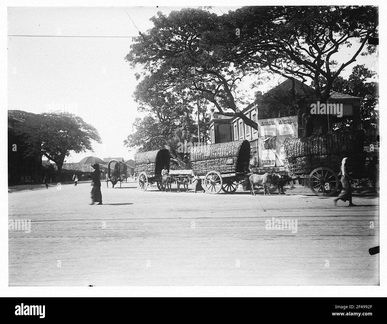 Colombo (Sri Lanka). Road with coags pulled by Ochsen Stock Photo - Alamy