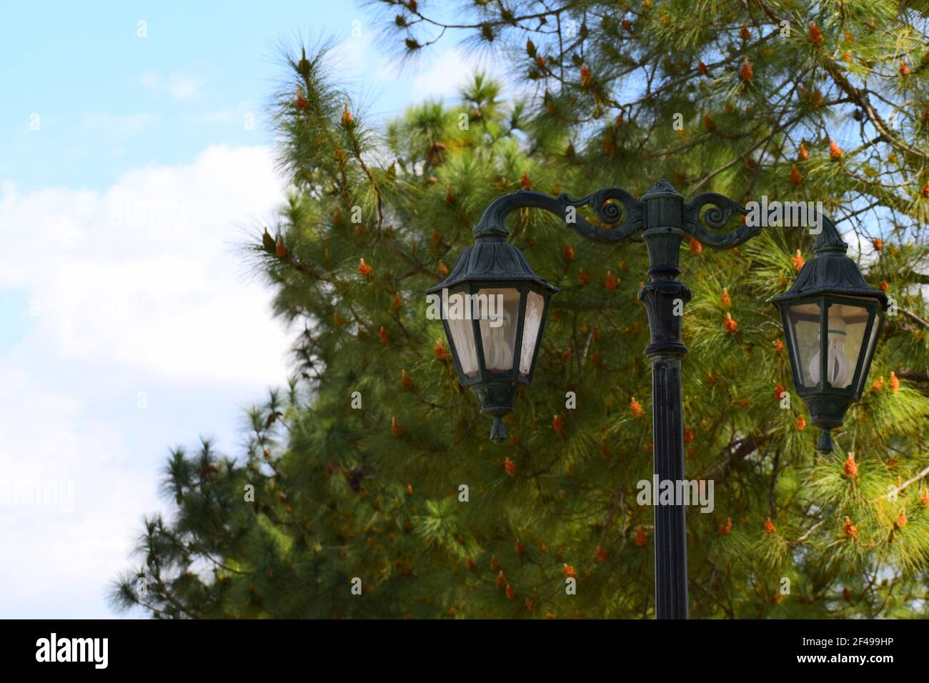Park lamp with beautiful behind view Stock Photo - Alamy