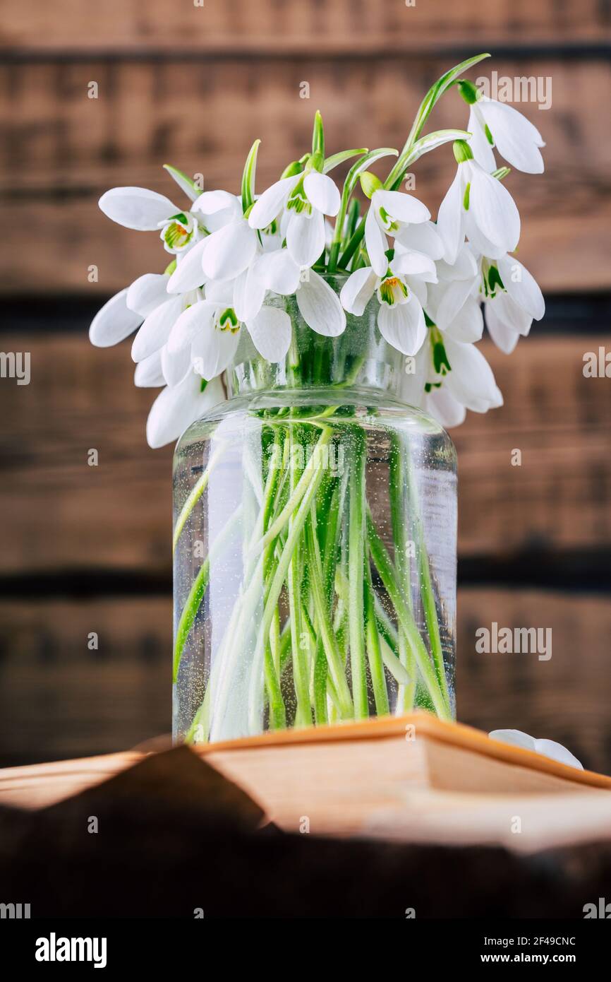 Snowdrop flowers in vase hi-res stock photography and images - Alamy