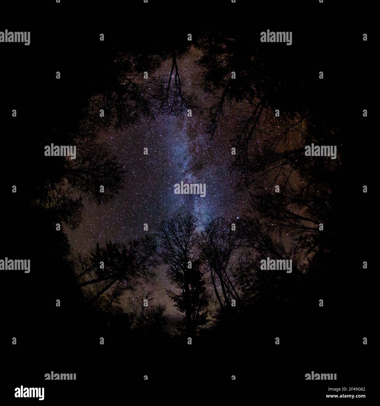 “A philosopher once asked, ‘Are we human because we gaze at the stars ...