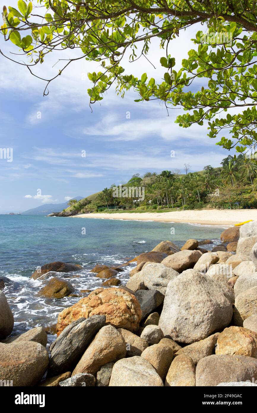 Rocks and trees in a beach in Brazil Stock Photo - Alamy