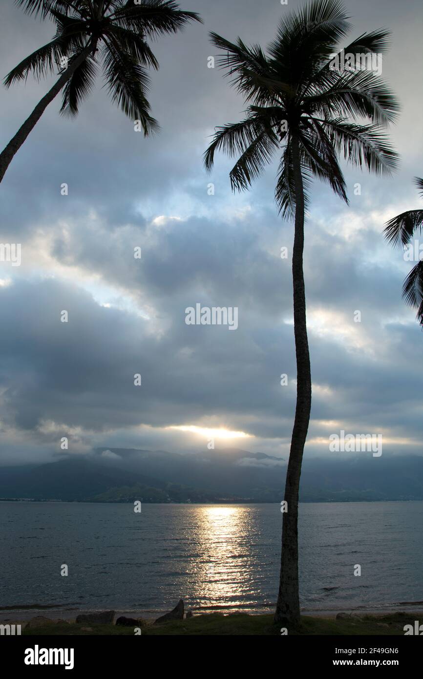 Trees silhouette and golden sea at sunset at Ilhabela island, Brazil ...