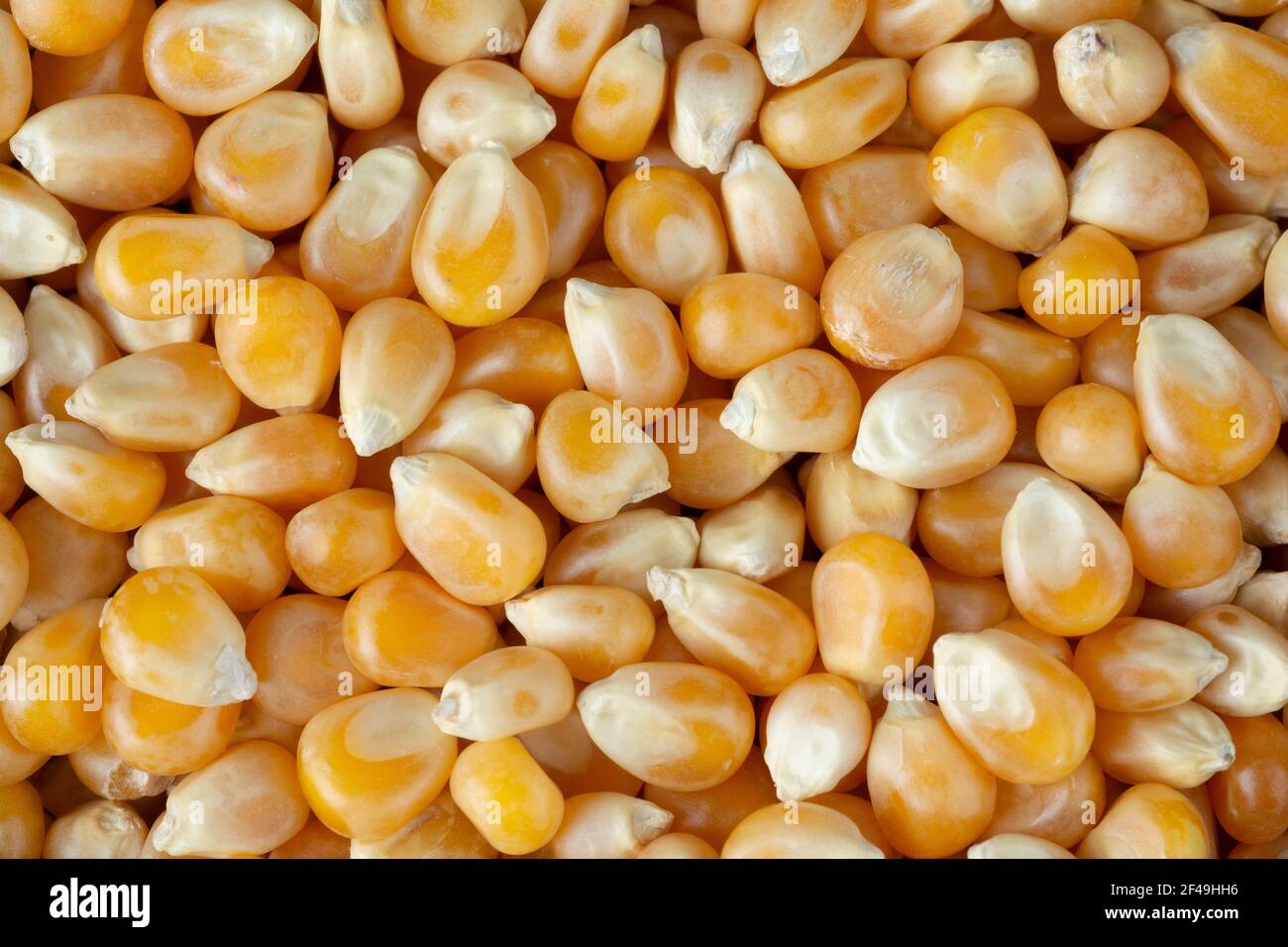 Popcorn kernels hi-res stock photography and images - Alamy
