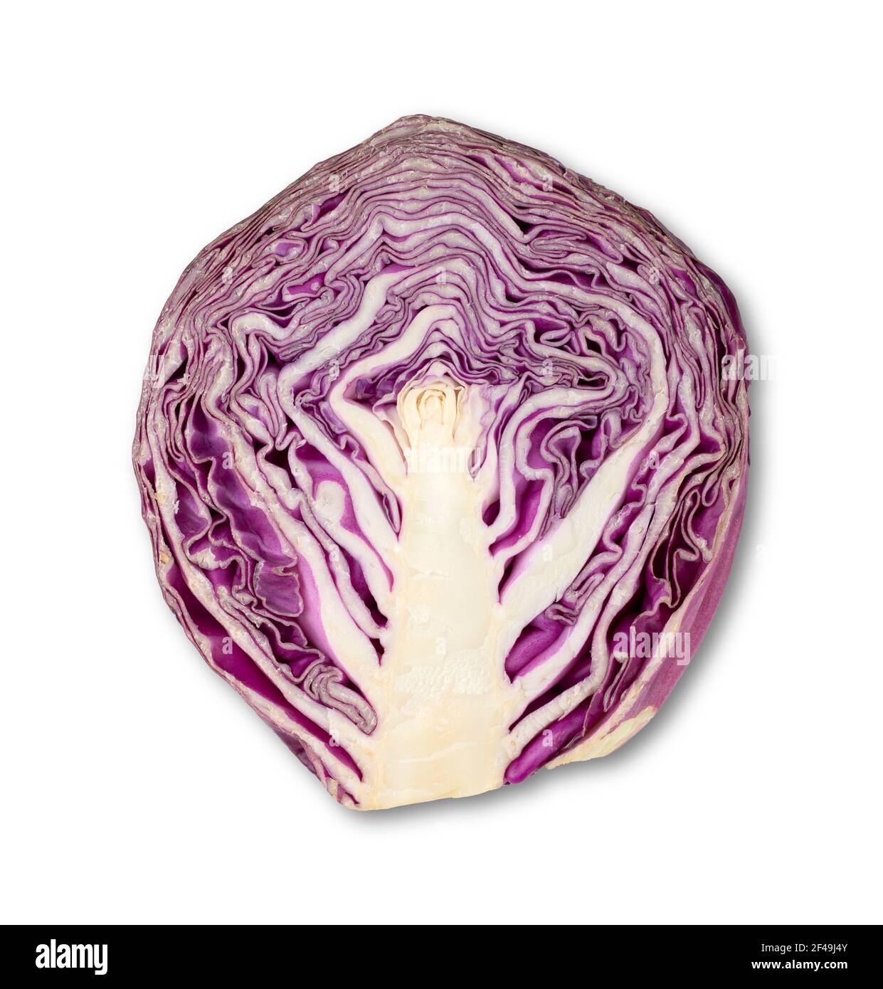 Purple cabbage half isolated over white background Stock Photo - Alamy
