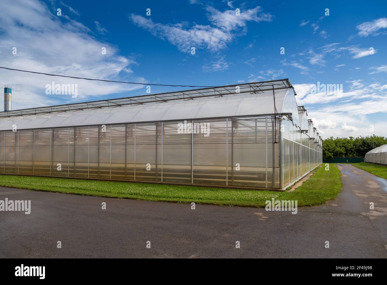 Modern hydroponic greenhouse on a rock wool substrate Stock Photo - Alamy